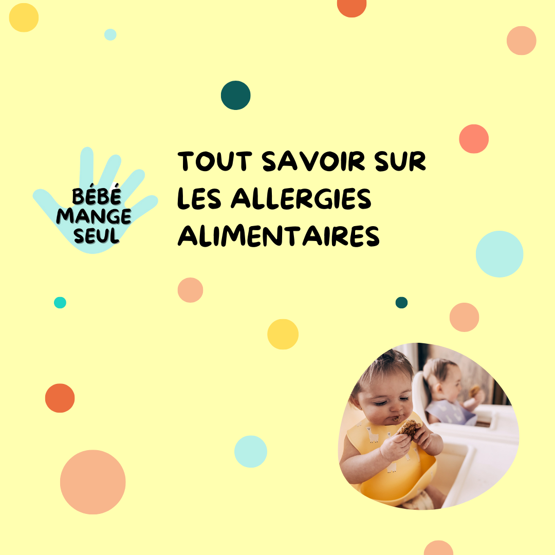 tout-savoir-sur-les-allergies-alimentaires – Bébé mange seul